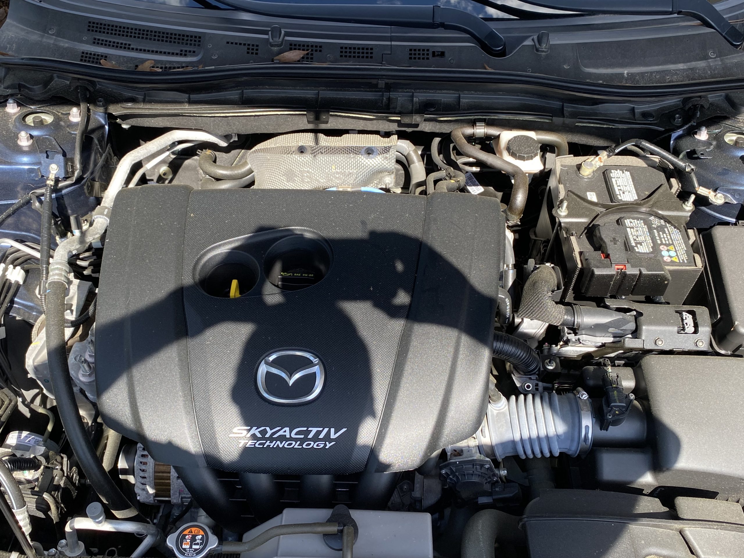 Pre-Owned Autos | Future Financial Services